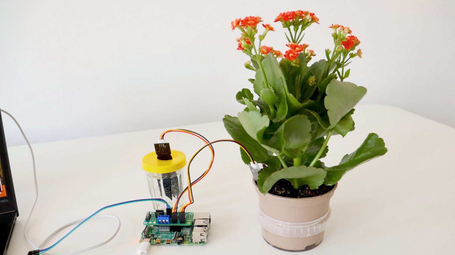 ANAVI Gardening uHAT – ANAVI Technology